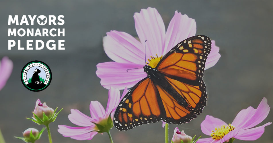 Education and Outreach Programs